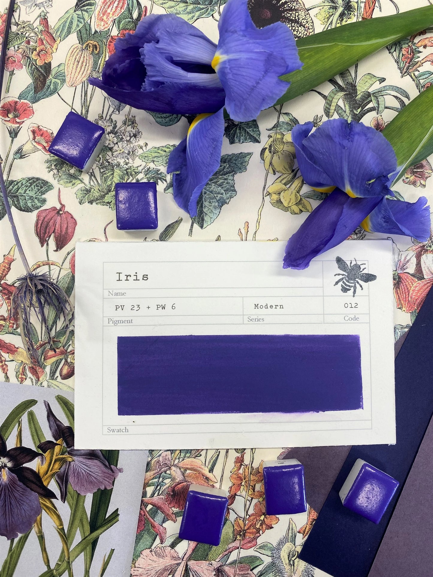 Iris ~ Gouache – Stoneground Paint Company