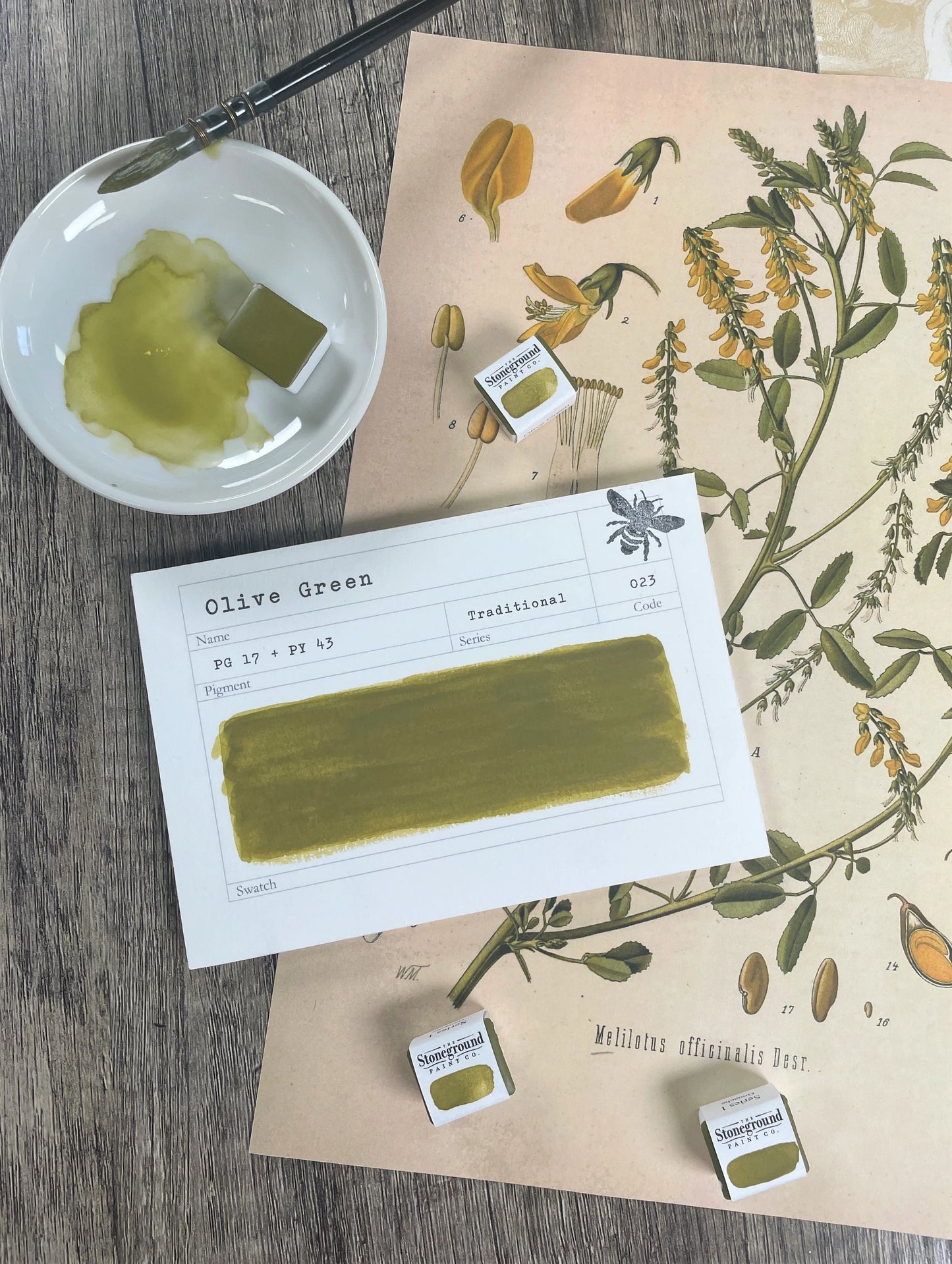 Olive Green ~ Gouache – Stoneground Paint Company